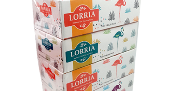 LORRIA BOX TISSUE 2PLY 1X4X70'S