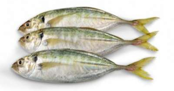 IKAN SELAR FRESH 1X1 PACK (500G)