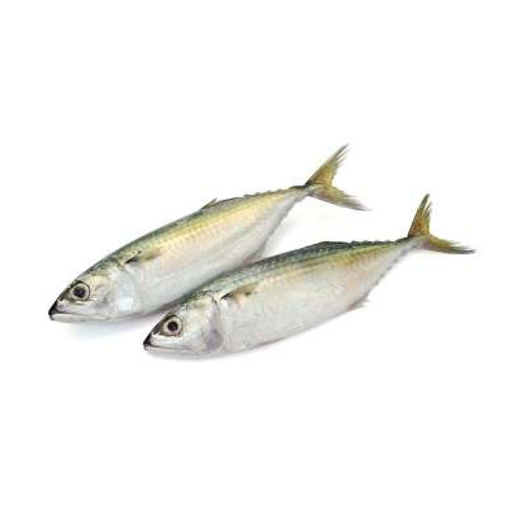 IKAN KEMBONG FRESH (MAMBONG) 1X1PACK (500G)